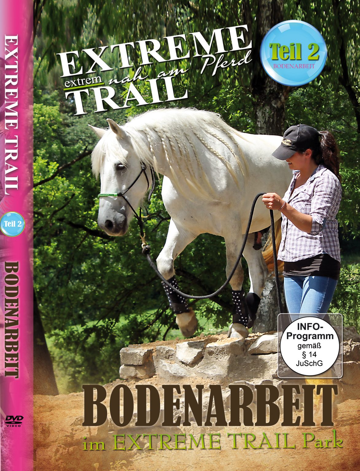 SET Teile 1 + 2 + 3: Vorbereitende Übungen & Bodenarbeit & Reiten ...