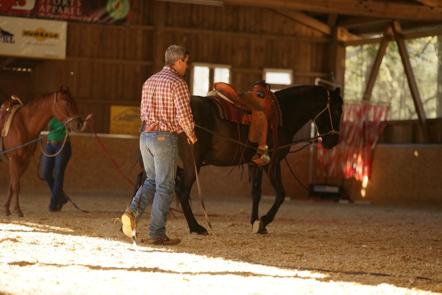 Bernd Hackl: Arbeiten mit zwei Longen - das Fahren vom Boden - mit Bild ...