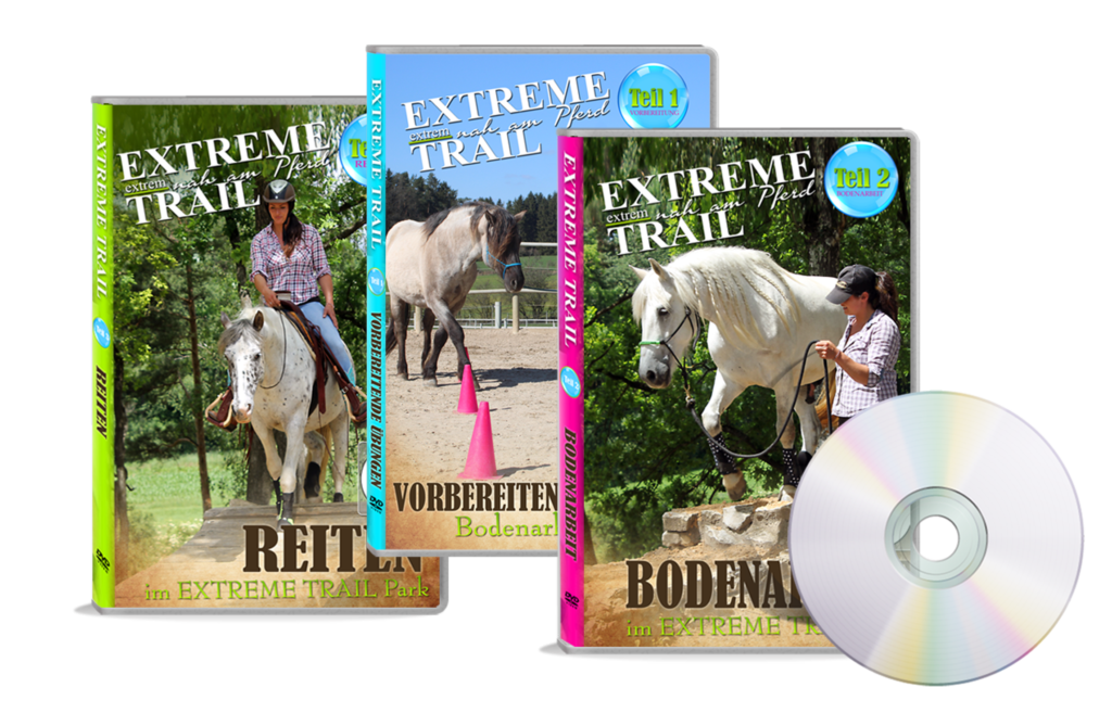 SET Teile 1 + 2 + 3: Vorbereitende Übungen & Bodenarbeit & Reiten ...