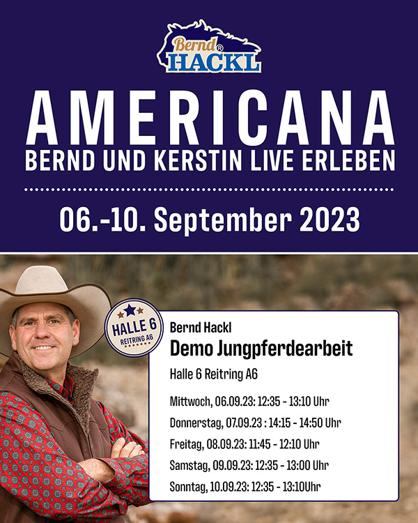 Bernd Hackl Pferdetraining