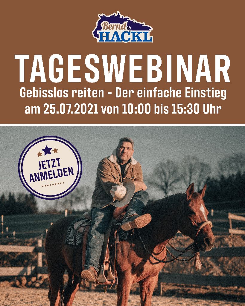 Bernd Hackl Pferdetraining