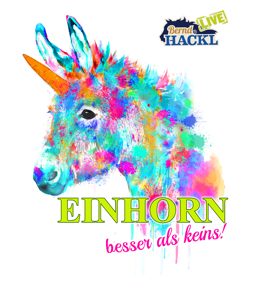 Bernd Hackl Pferdetraining