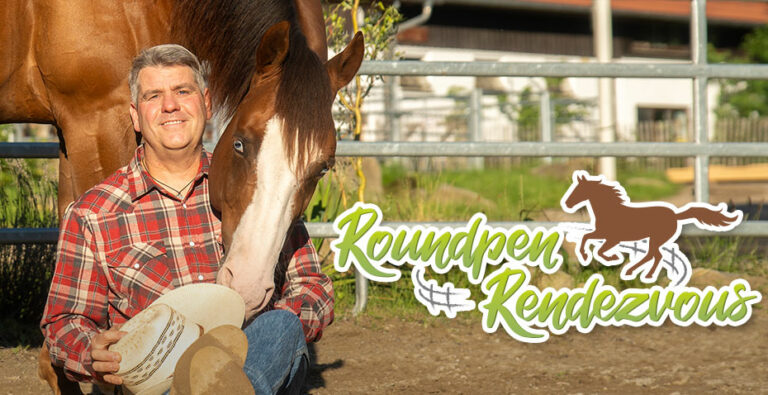 Bernd Hackl LIVE – Roundpen Rendezvous « Bernd Hackl Pferdetraining