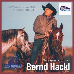 Bernd Hackl Pferdetraining