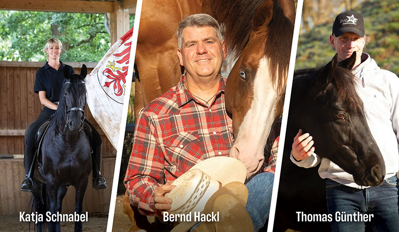 Bernd Hackl LIVE – Roundpen Rendezvous « Bernd Hackl Pferdetraining