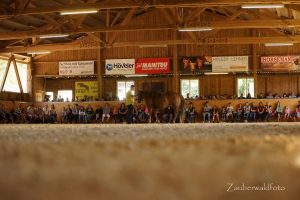 Bernd Hackl Pferdetraining