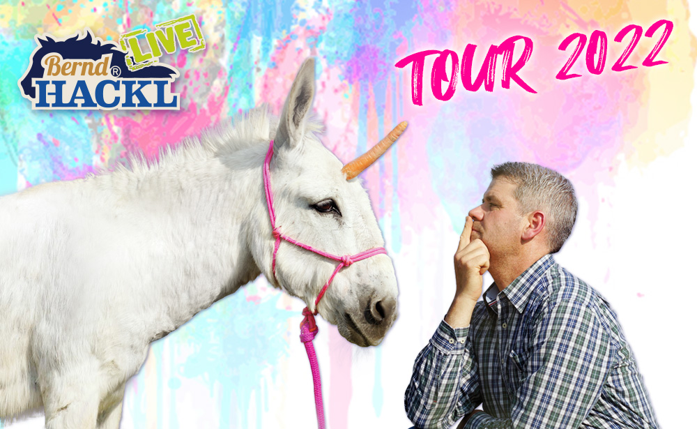 Bernd Hackl Pferdetraining