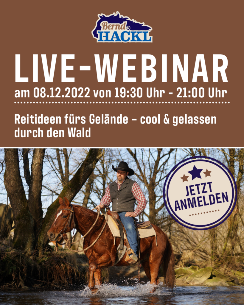 Bernd Hackl Pferdetraining